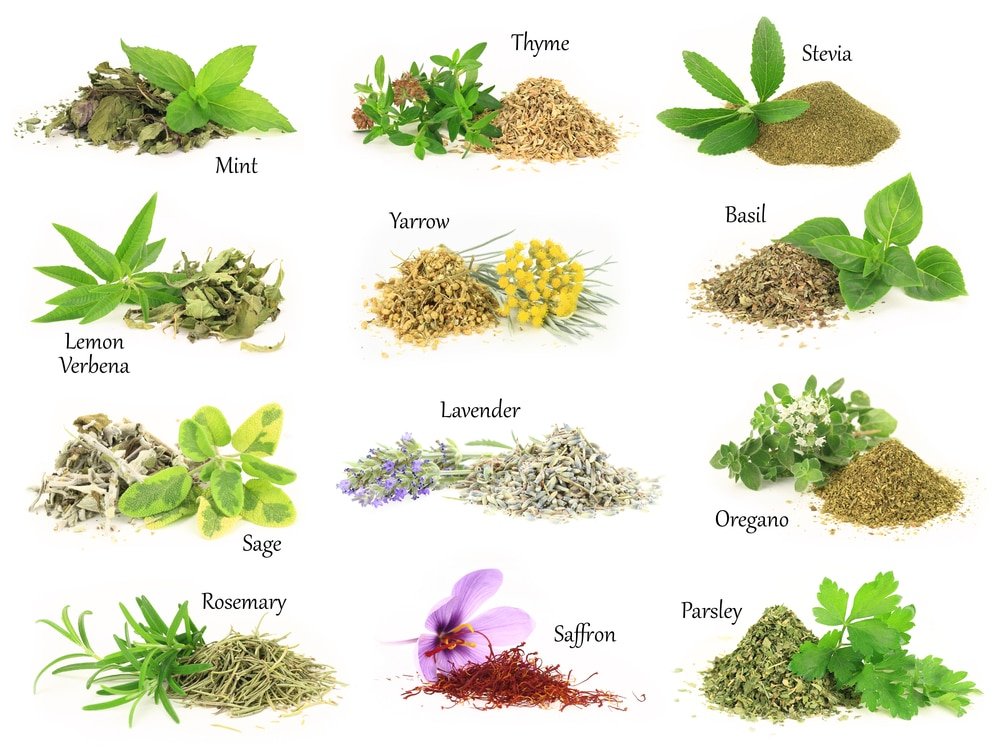 15 Impressive Health Benefits Of Herbs Natural Food Series 15 Impressive Health Benefits Of Herbs Natural Food Series
