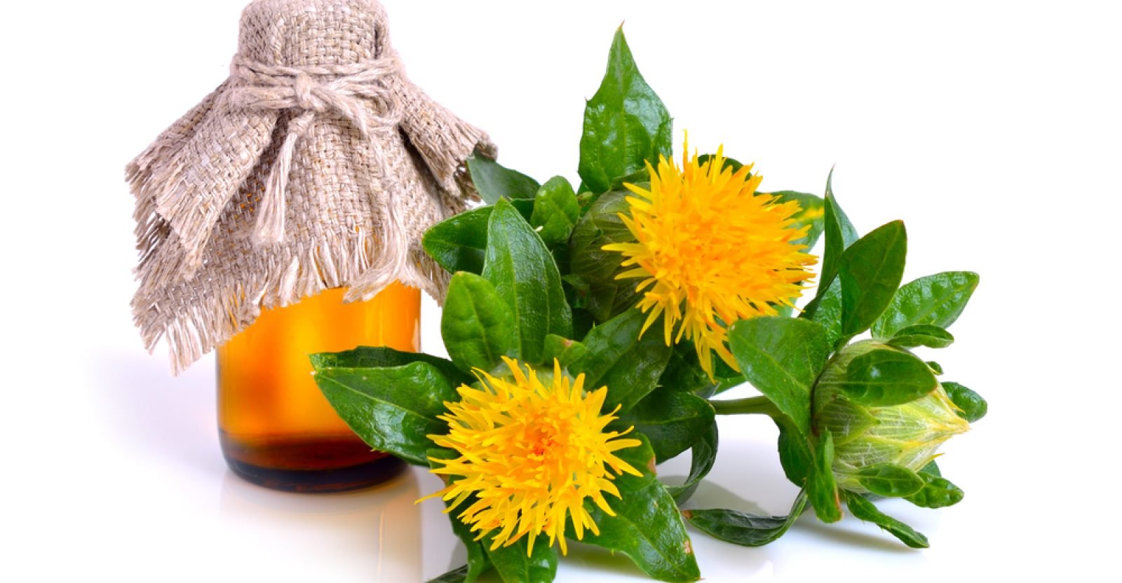 11 Best Health Benefits of Safflower Oil - Natural Food Series
